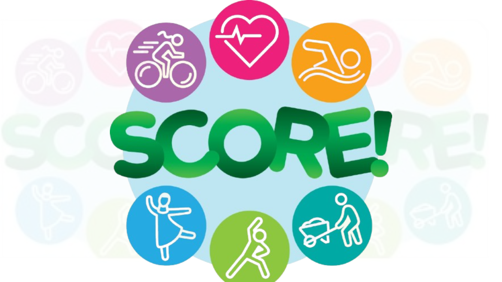 Guide to Scoring Physical Activity Questionnaires
